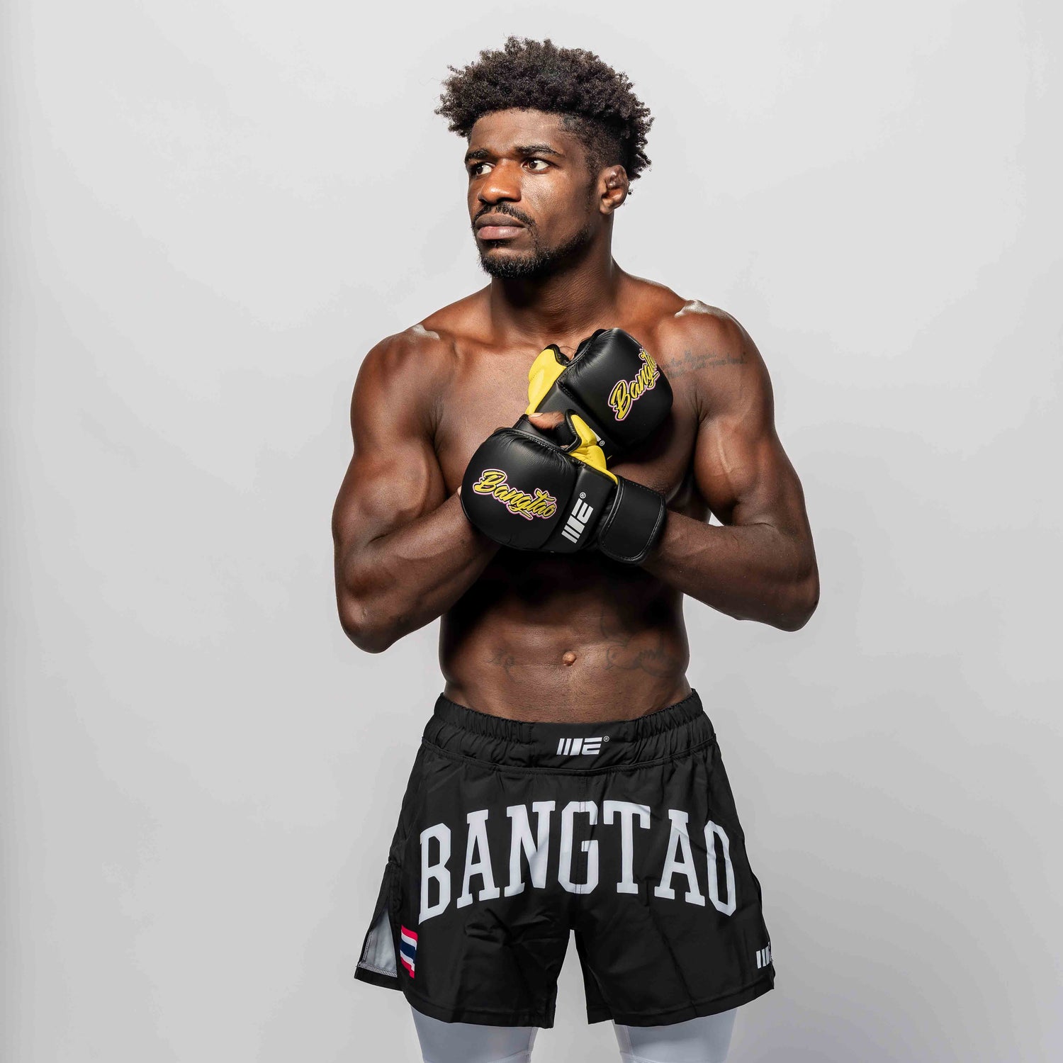 MMA Gloves